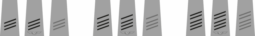 ᐅ Bundeswehr Dienstgrade: Dienstgrade, Abzeichen und Besoldung