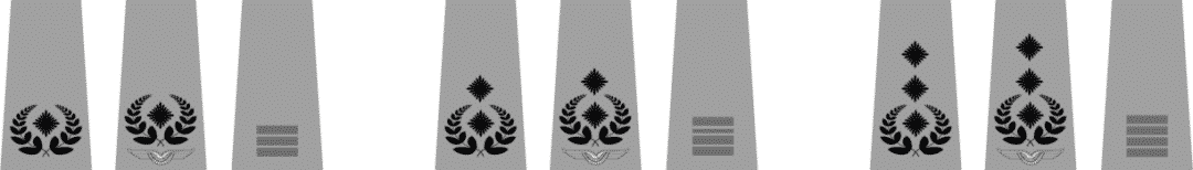 ᐅ Bundeswehr Dienstgrade: Dienstgrade, Abzeichen und Besoldung