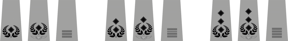 ᐅ Bundeswehr Dienstgrade: Dienstgrade, Abzeichen und Besoldung